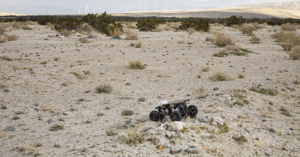 Desert X | Norma Jeane